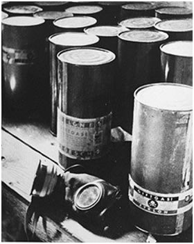 Efeitos Do Gas Zyklon B
